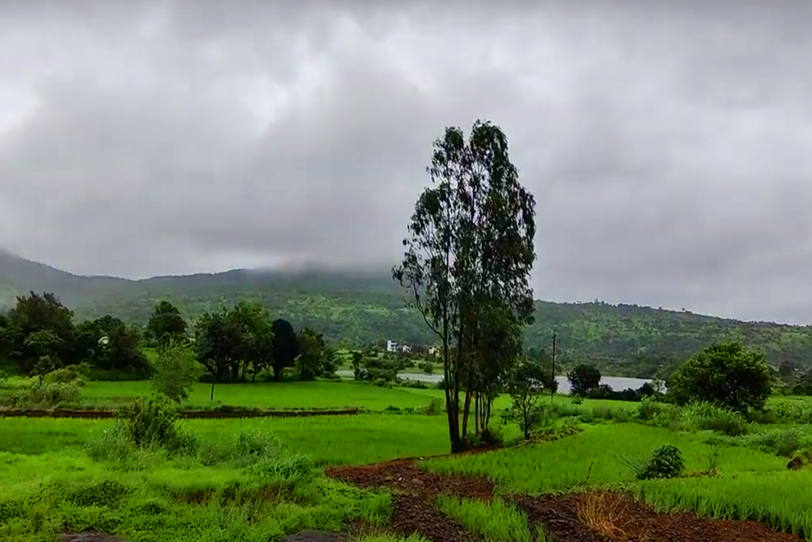 Yo Property Explorer, Lonavala